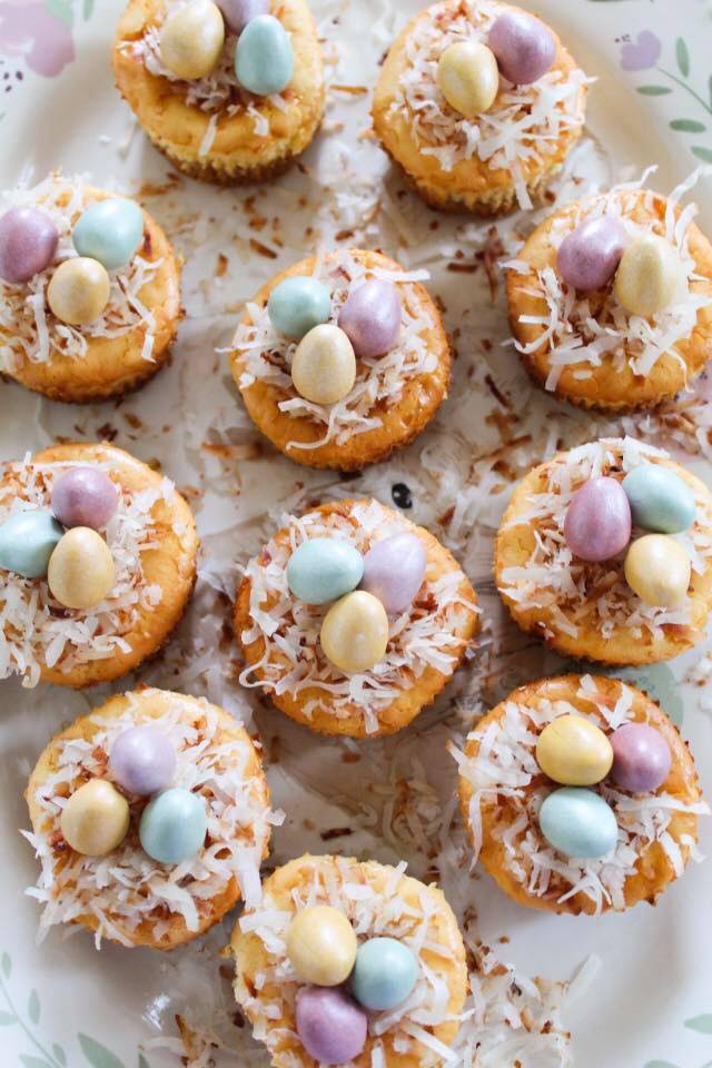 Easter Bird’s Nest Mini Cheesecakes – Maral in the Kitchen